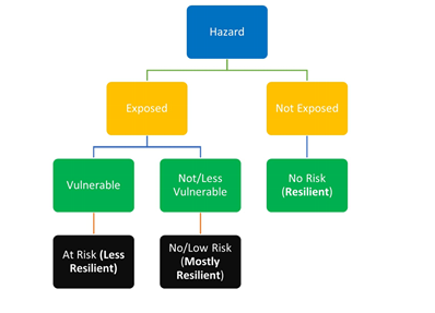 Building Rock-Solid Resilience - An Interview with Author & Adaptation Expert Le-Anne Roper ...