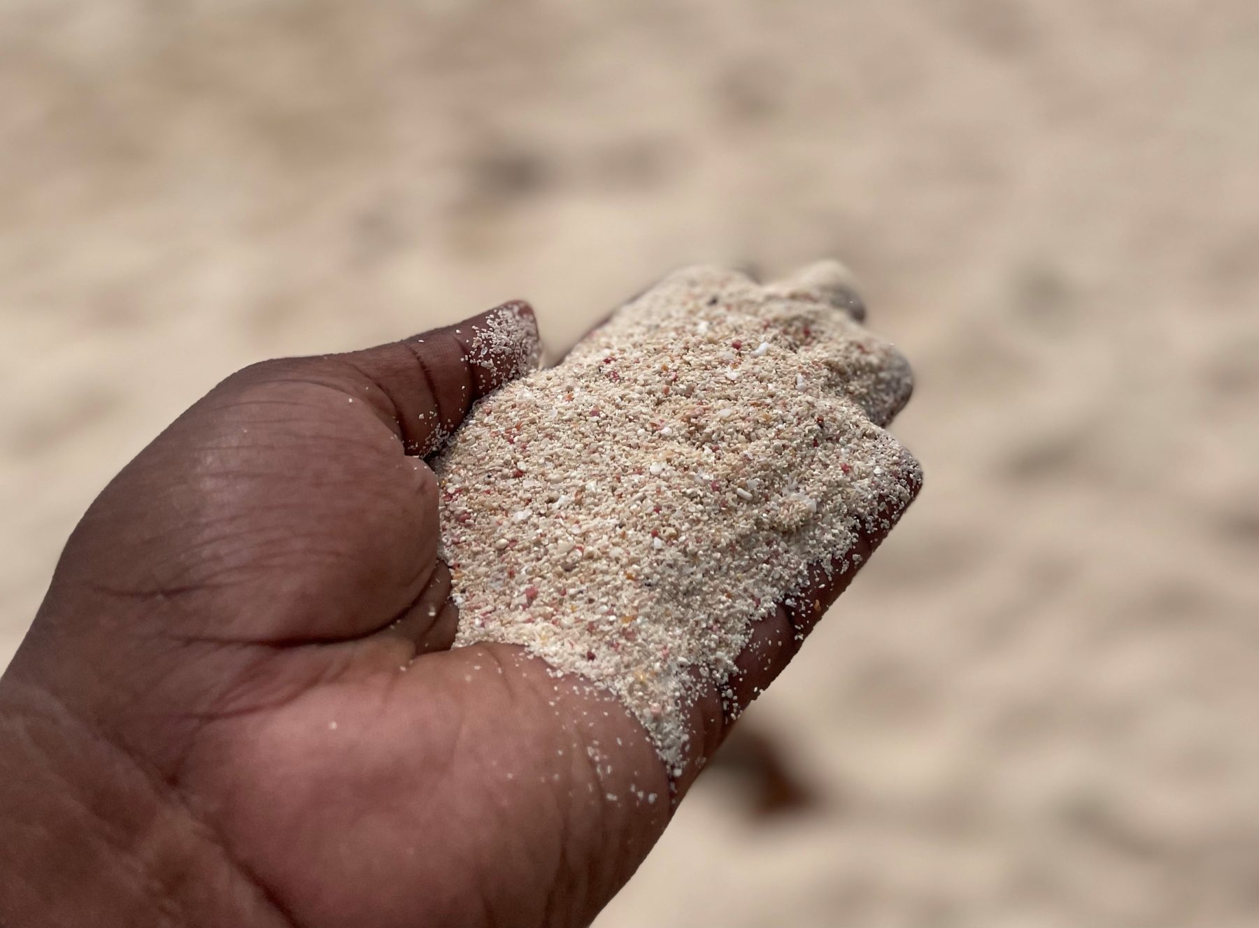 Every Grain Counts - Smith Warner International Ltd.